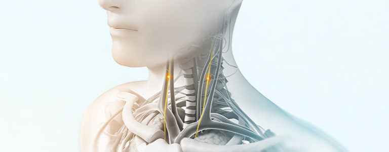 Our Products - gammaCore, Truvaga, Tac-Stim | electroCore